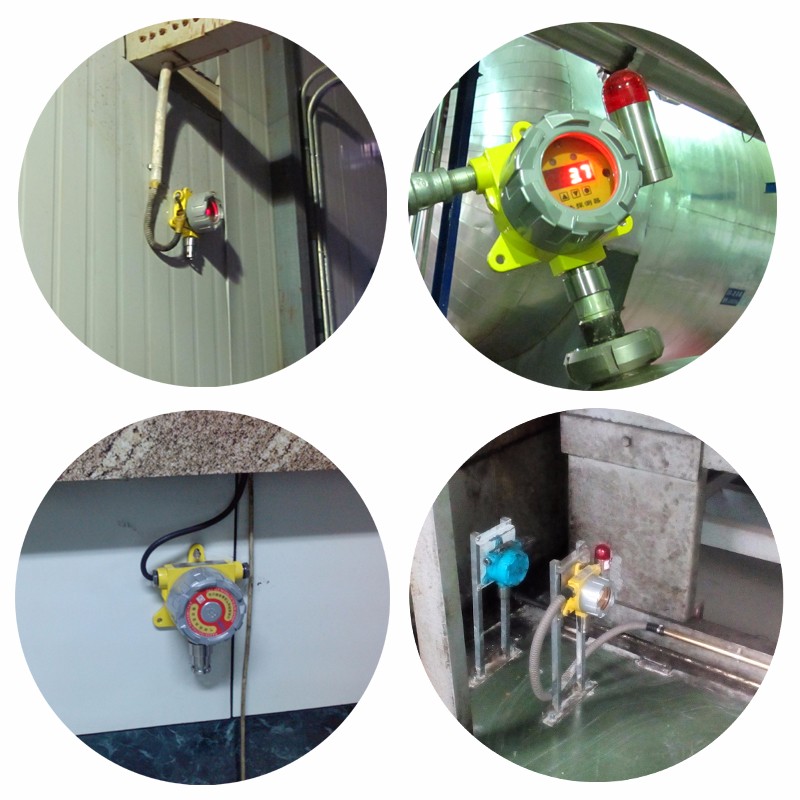 Explosion Proof CH4 Gas Leak Detector&alarm Transmitter High Quality with Infrared Sensor ...